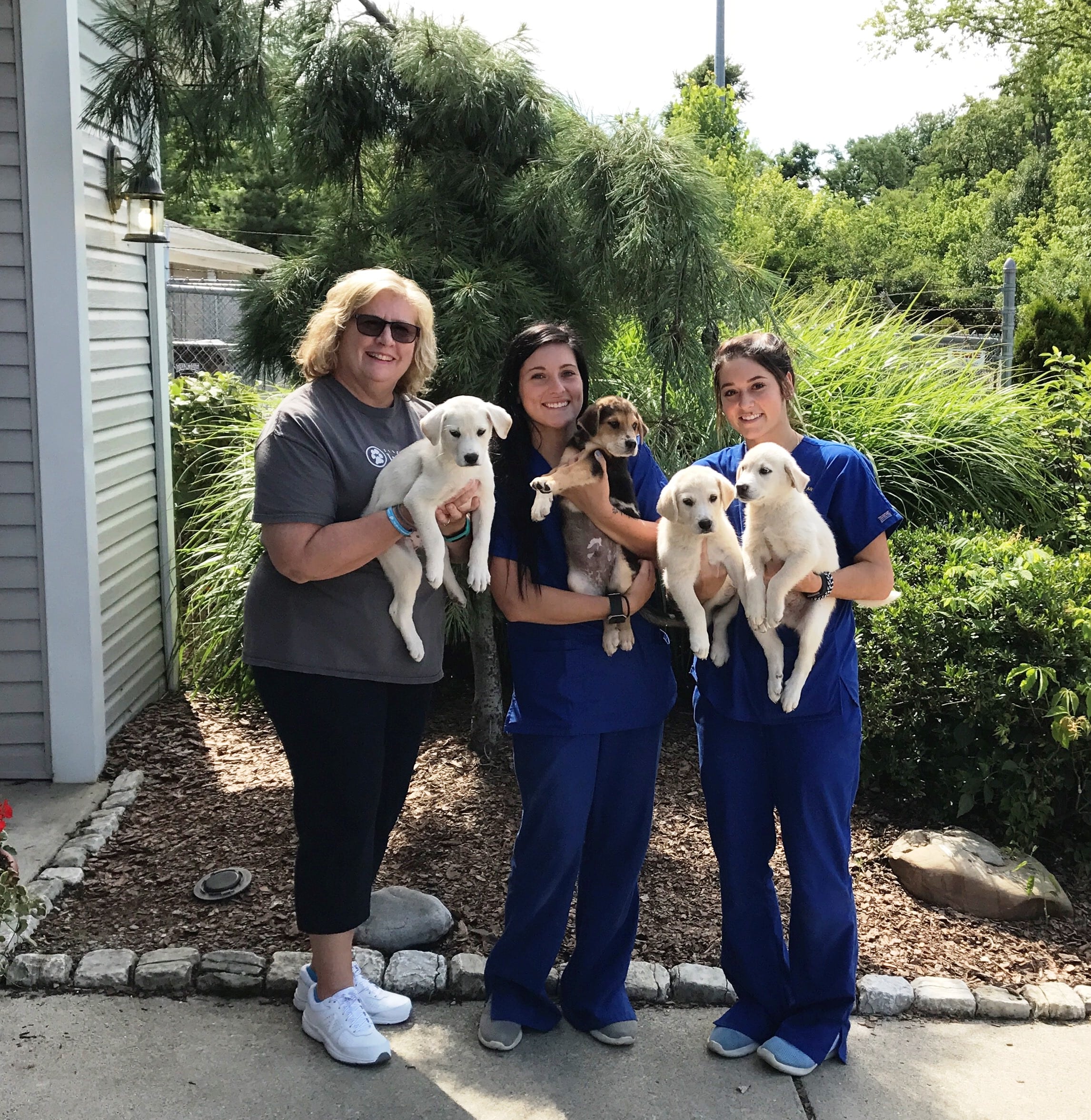 friends litter 1 - Cincinnati Lab Rescue