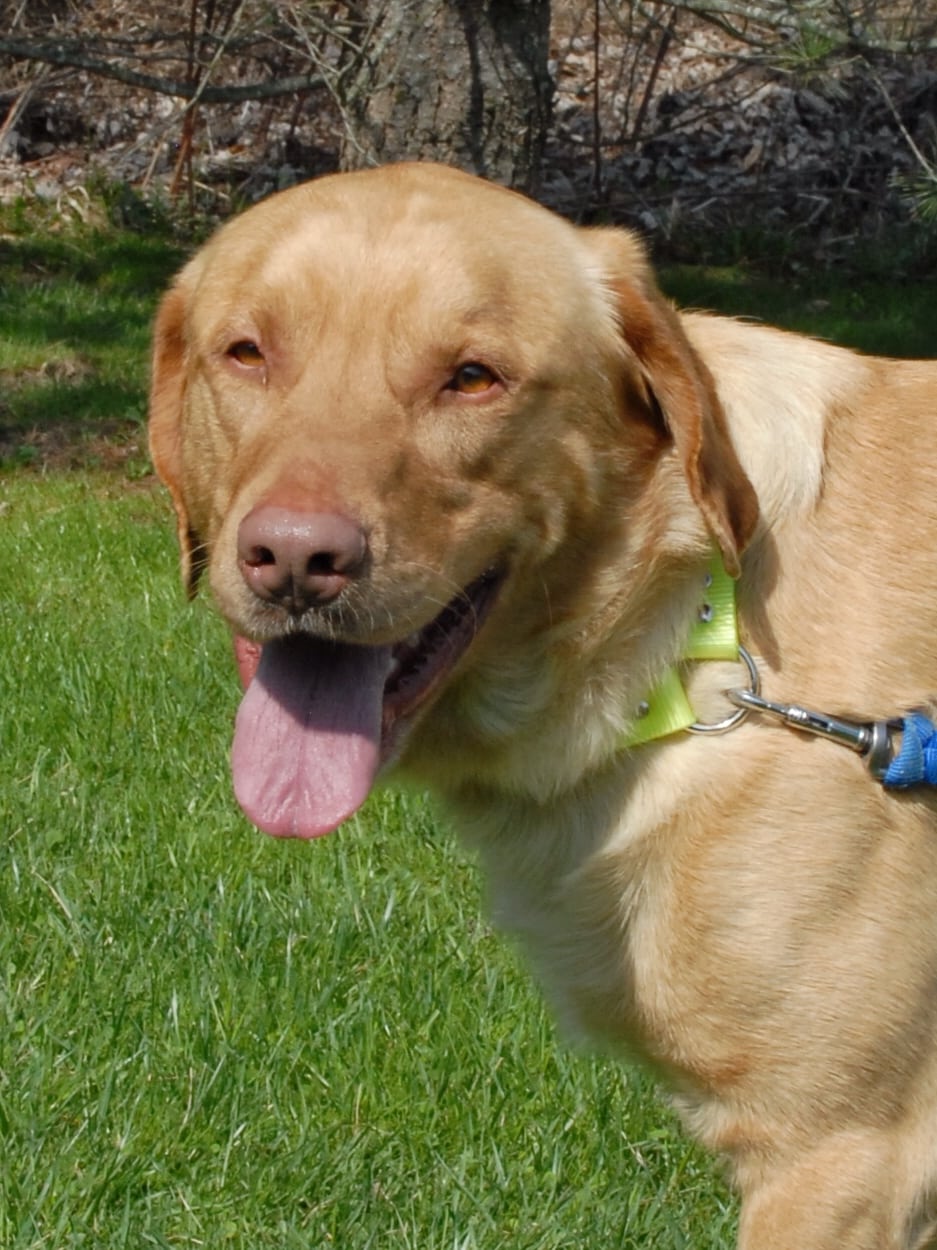 apollo 1 - Cincinnati Lab Rescue