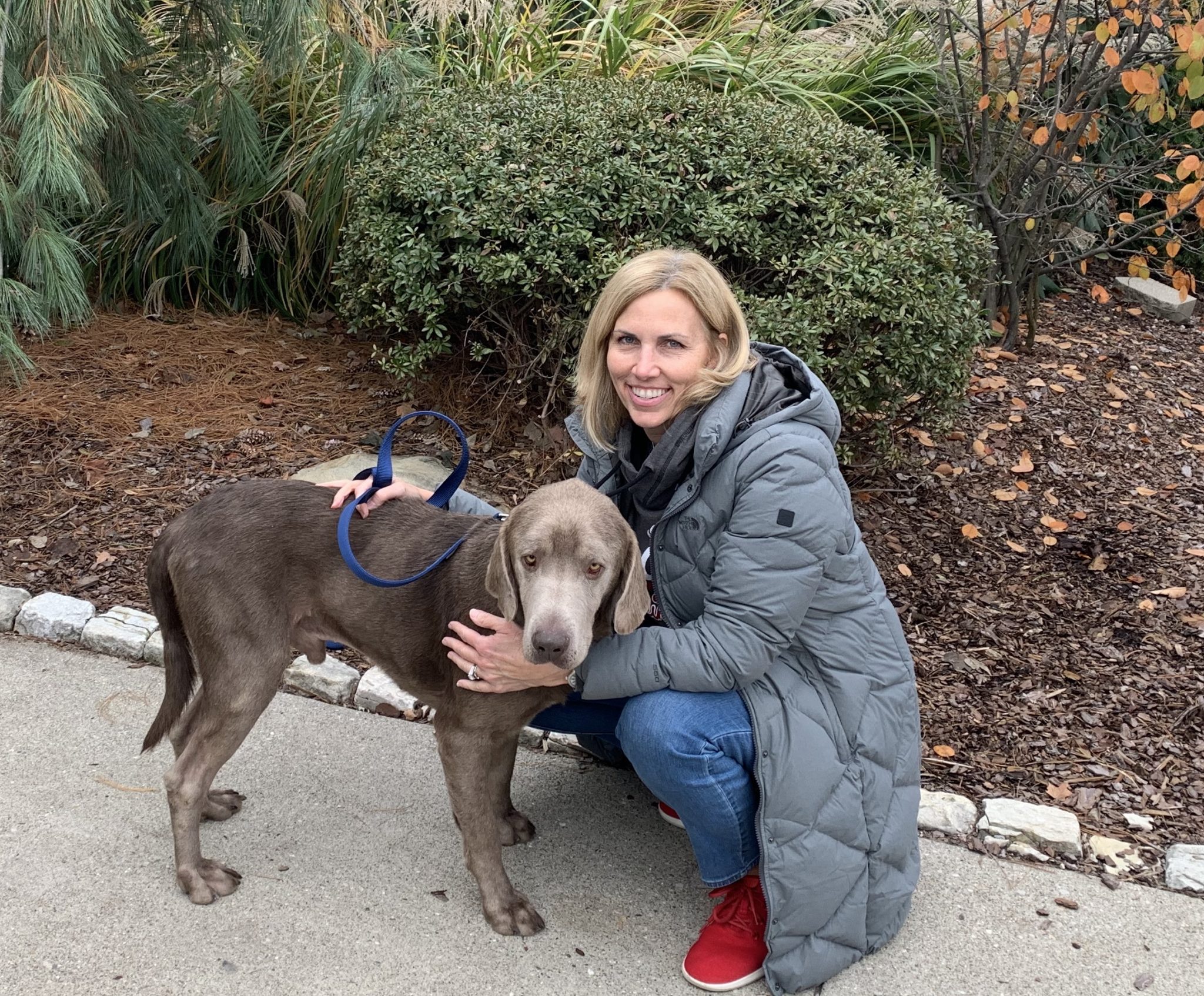 bartley-arand-home-11-9-19 - Cincinnati Lab Rescue