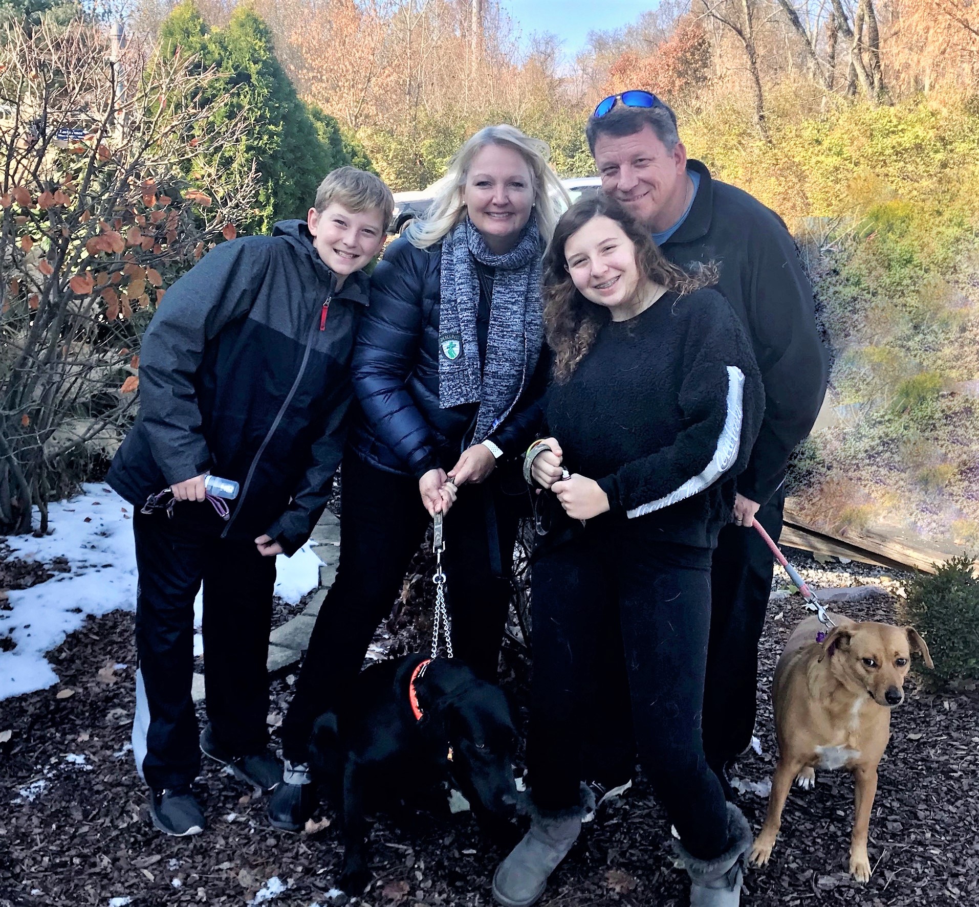 angie-shook-home-11-16-19 - Cincinnati Lab Rescue