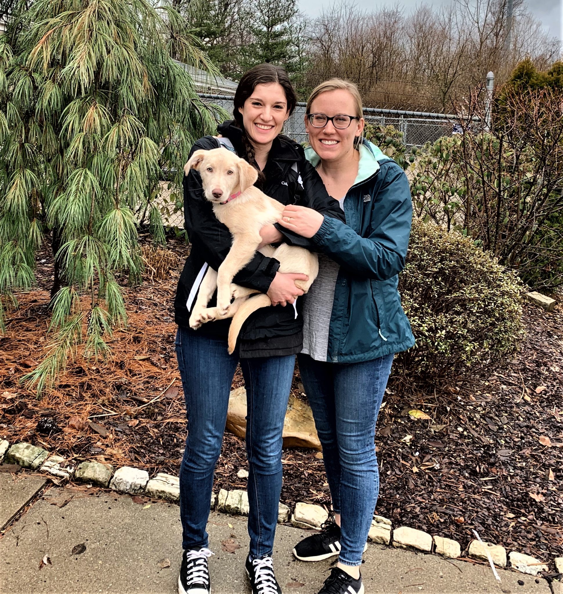 joy-lind-combs-home-1-11-20 - Cincinnati Lab Rescue